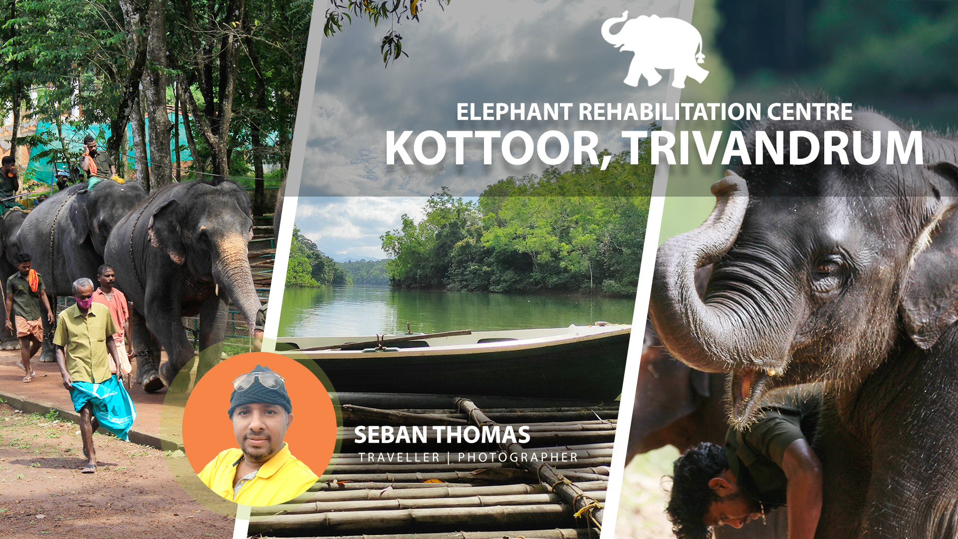 Kottoor Elephant Rehabilitation Centre - Hello Trivandrum | News and ...